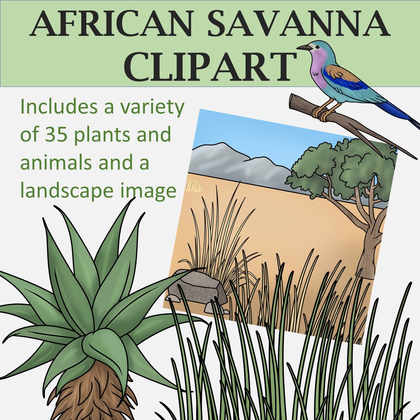 Plants and Animals of the African Savanna Clipart - Etsy