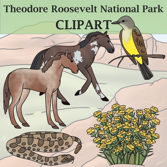 Plants and Animals of Theodore Roosevelt National Park Clipart - Etsy