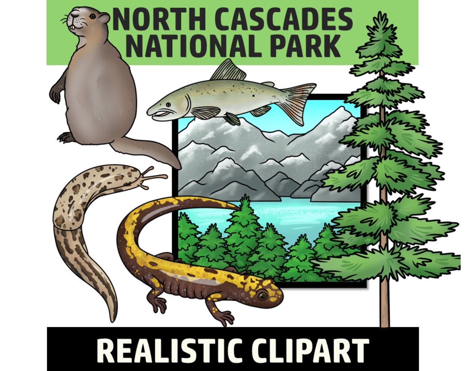 North Cascades National Park Clipart - National Park Clip Art - Etsy