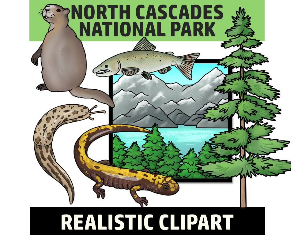 North Cascades National Park Clipart - National Park Clip Art - Etsy