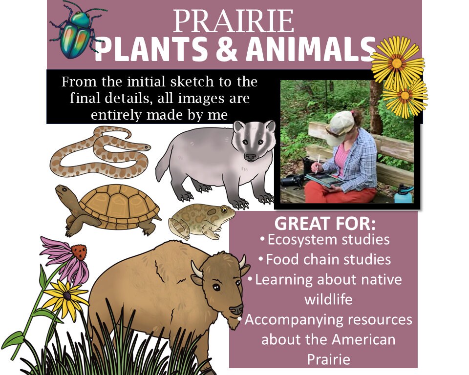 Prairie Clip Art - Great Plains Habitat Clipart - Etsy