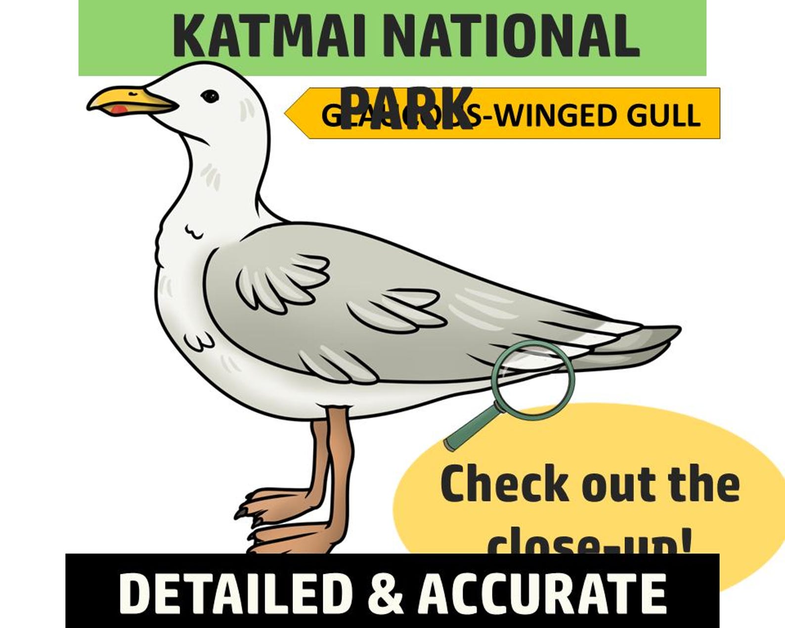 Plants and Animals of Katmai National Park Clipart - Etsy