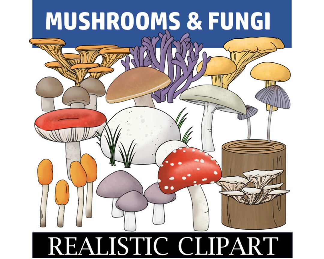 Mushroom Clip Art - Fungi of North America - Etsy