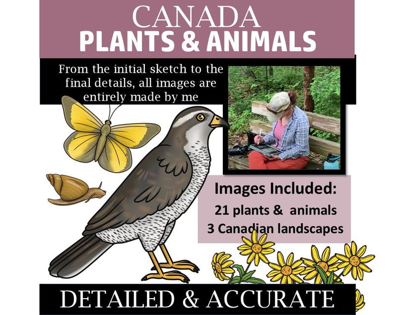 Canadian Clip Art - Plants and Animals of Canada Clipart - Etsy