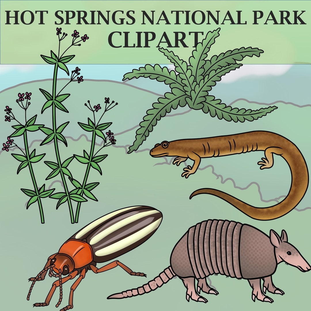 Plants and Animals of Hot Springs National Park Clipart - Etsy