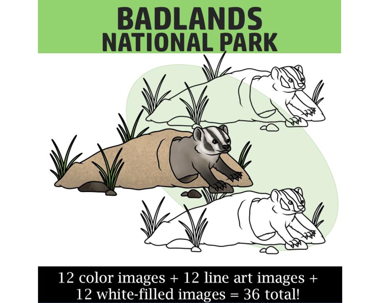 Badlands National Park Clipart: Plants & Animals (36 Images) - Etsy