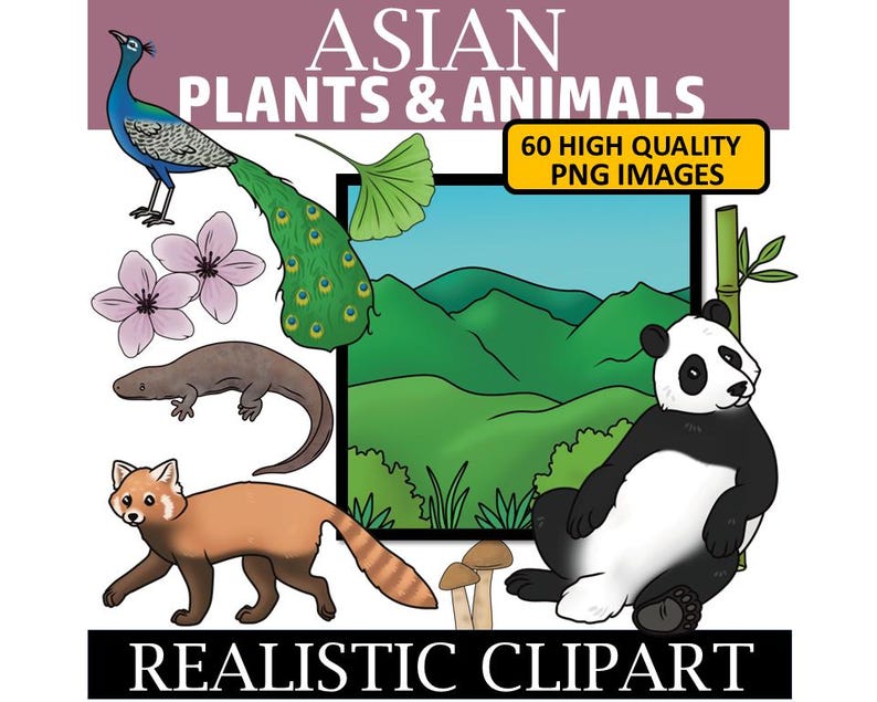 Wildlife of Asia Clip Art (asian Plants and Animals Clipart) - Etsy