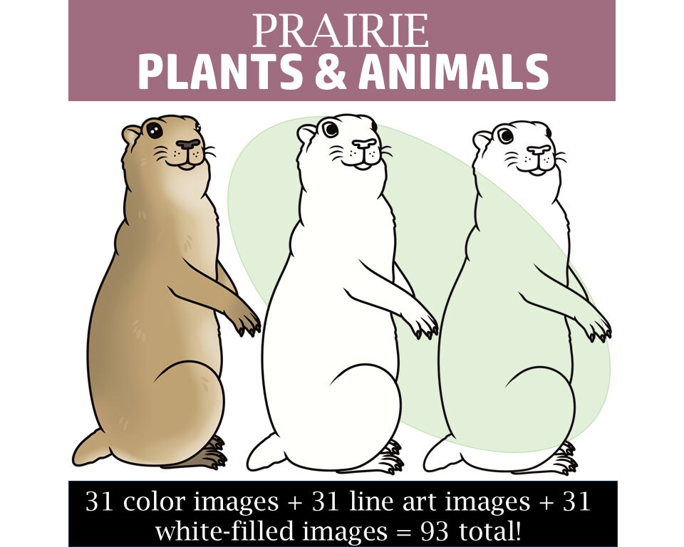 Prairie Clip Art - Great Plains Habitat Clipart - Etsy
