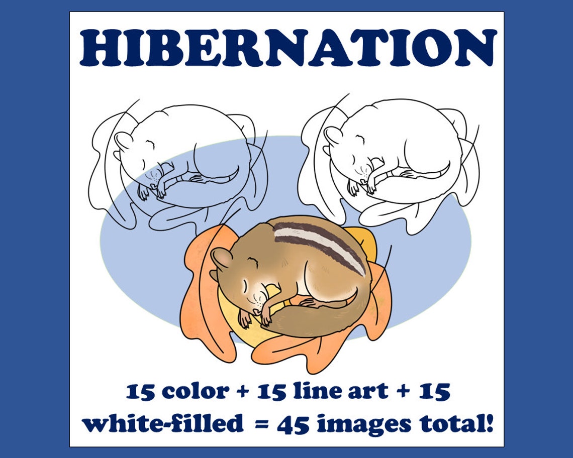 Hibernating Animals Clip Art - Etsy