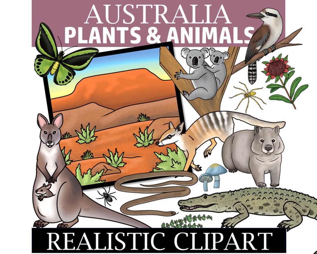 Australian Clip Art - Plants and Animals of Australia Clipart - Etsy