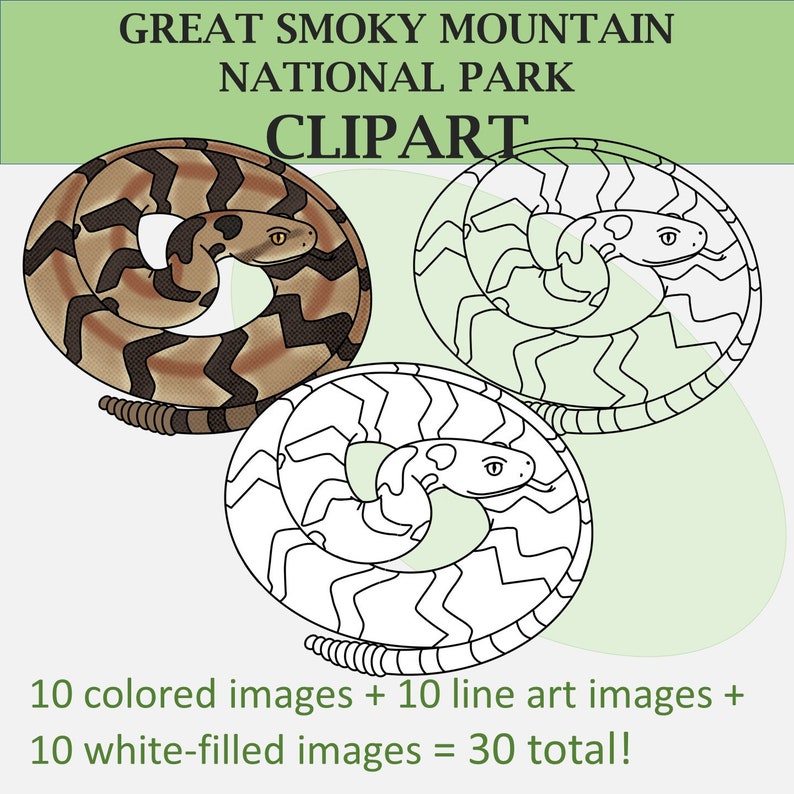 Plants and Animals of the Great Smoky Mountains National Park Clipart ...