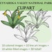 Plants and Animals of Cuyahoga Valley National Park Clipart - Etsy