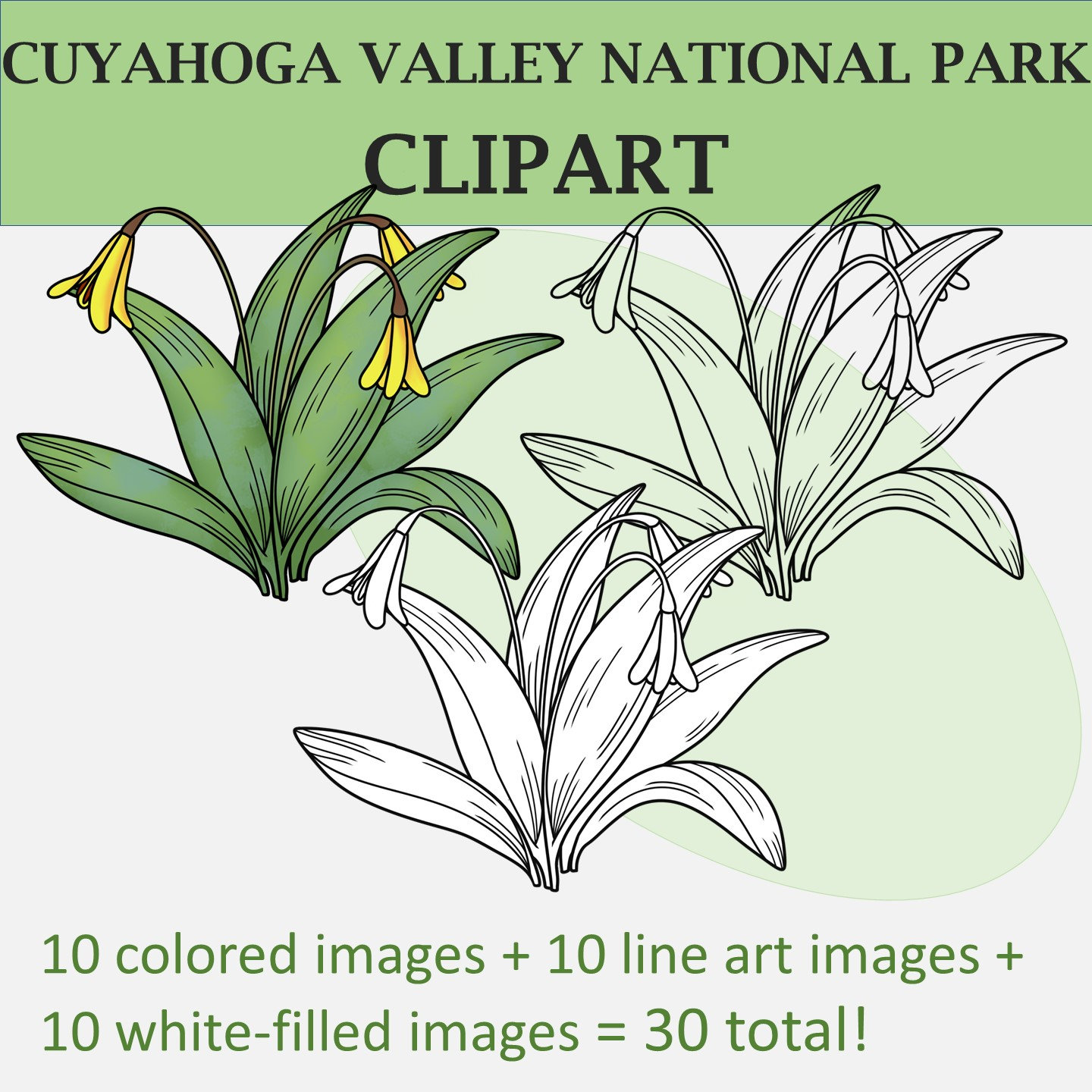 Plants and Animals of Cuyahoga Valley National Park Clipart - Etsy