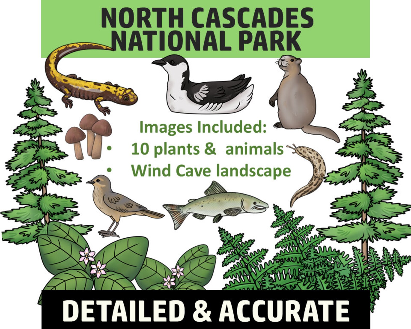 North Cascades National Park Clipart - National Park Clip Art - Etsy