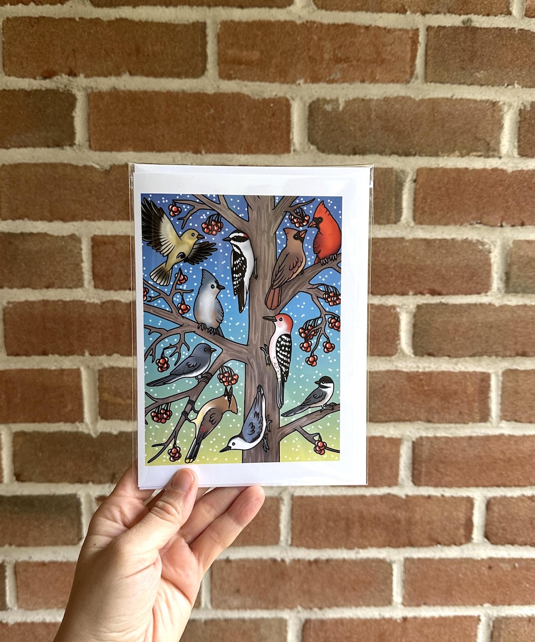Winter Birds Greeting Card - Blank Holiday Card With 10 Winter Birds - Etsy