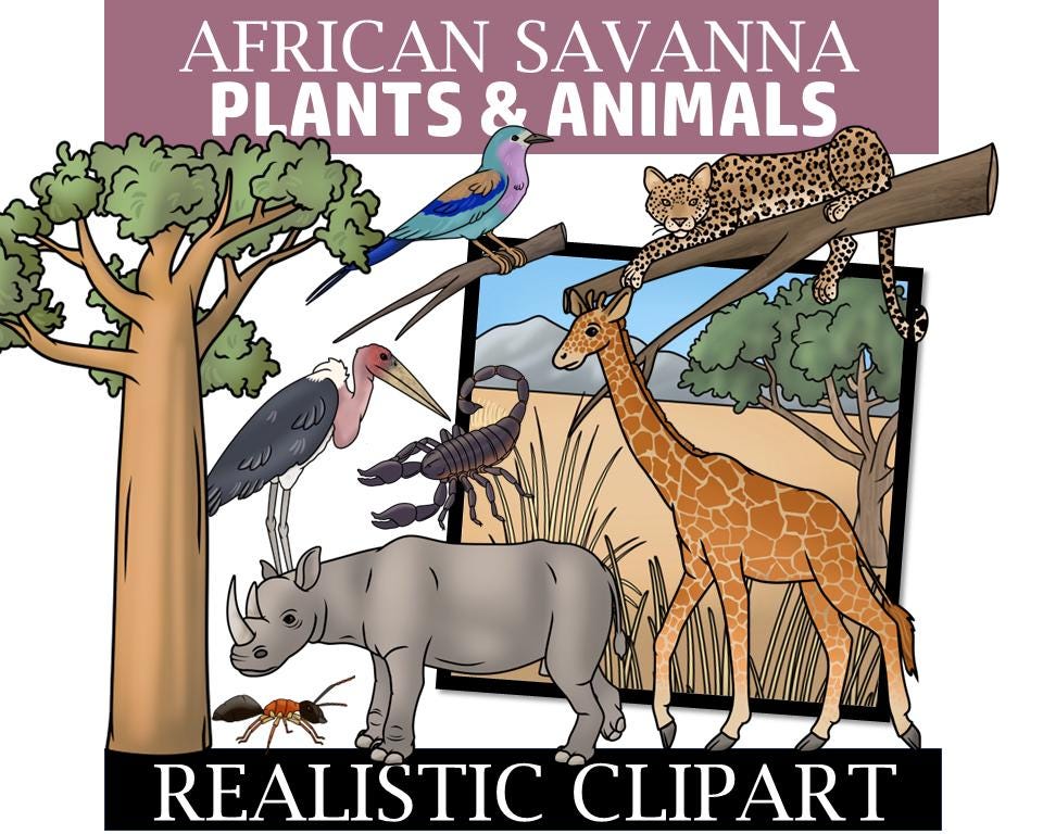 Savanna Plants And Animals Grassland Biome