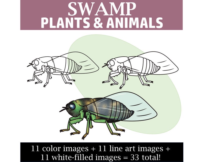 Swamp Plants and Animals Clip Art: Wetland Habitat Graphics - Etsy