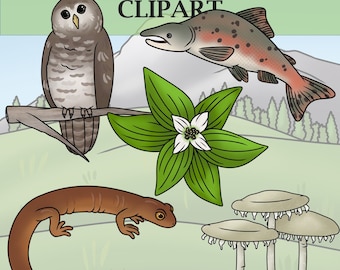 Plants and Animals of Glacier National Park Clipart - Etsy