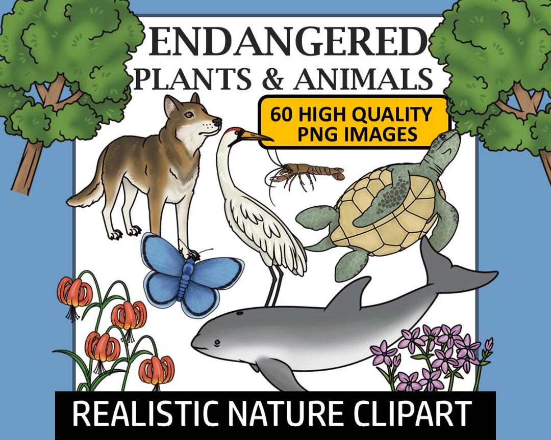 Endangered Animals Clip Art and Endangered Plants Clip Art - Etsy