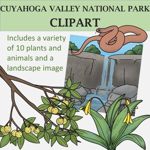 Plants and Animals of Cuyahoga Valley National Park Clipart - Etsy