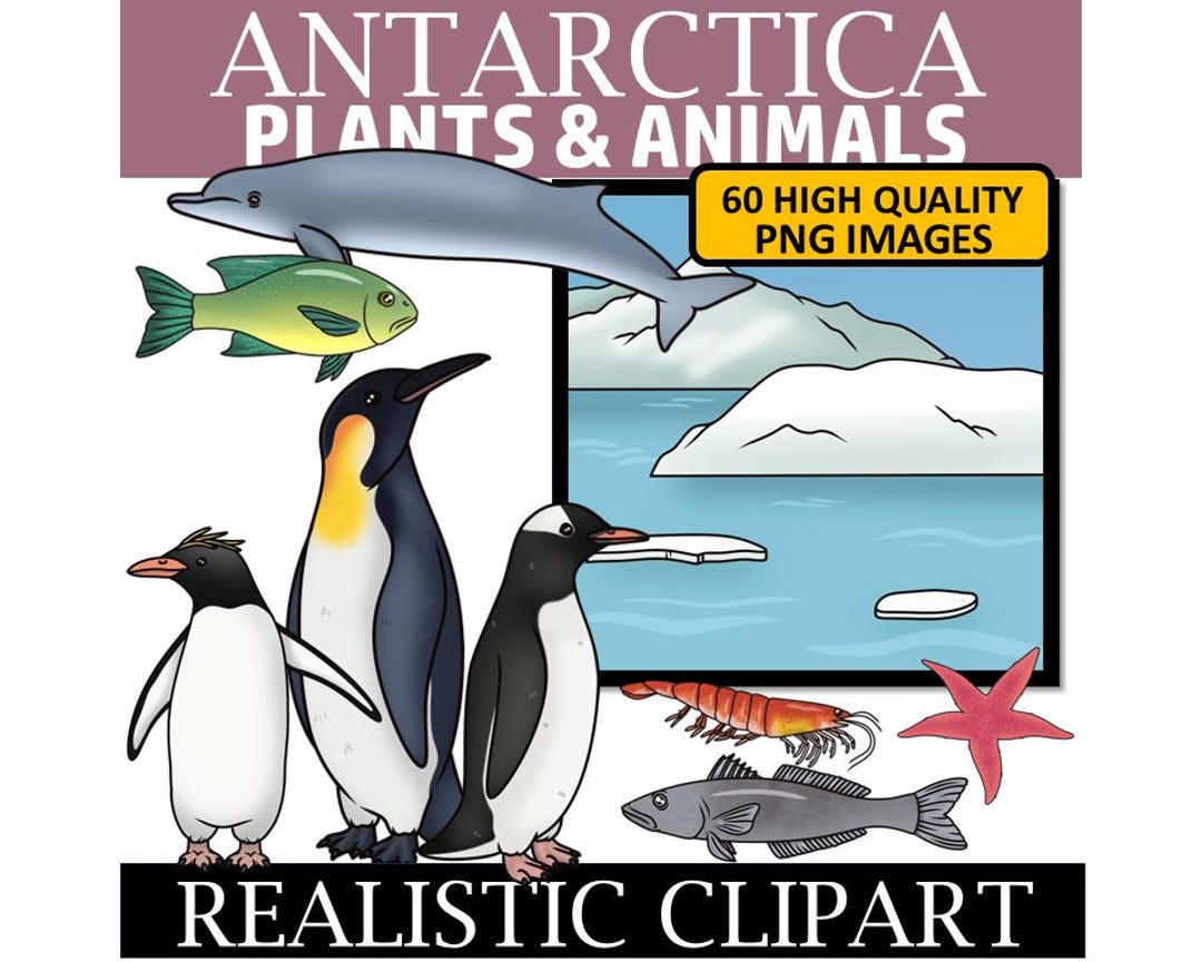 Antarctica Clip Art (plants and Animals of Antarctica Clip Art) - Etsy