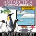 Antarctica Clip Art (plants and Animals of Antarctica Clip Art) - Etsy