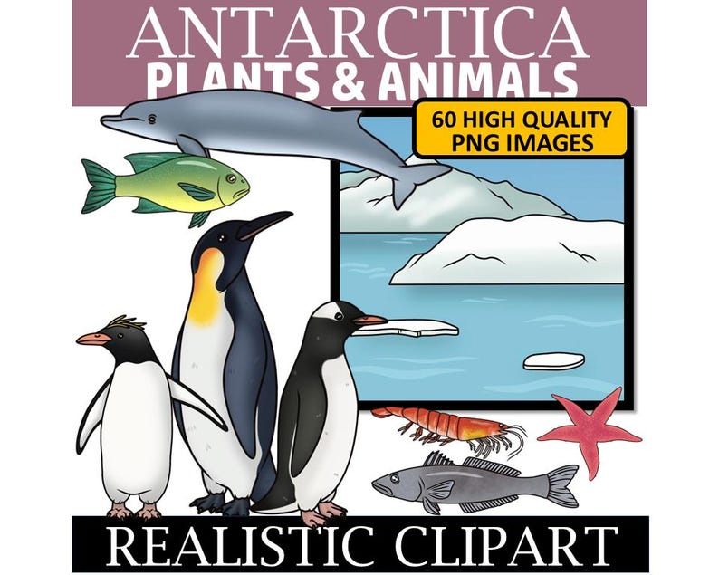 Antarctica Clip Art (plants and Animals of Antarctica Clip Art) - Etsy