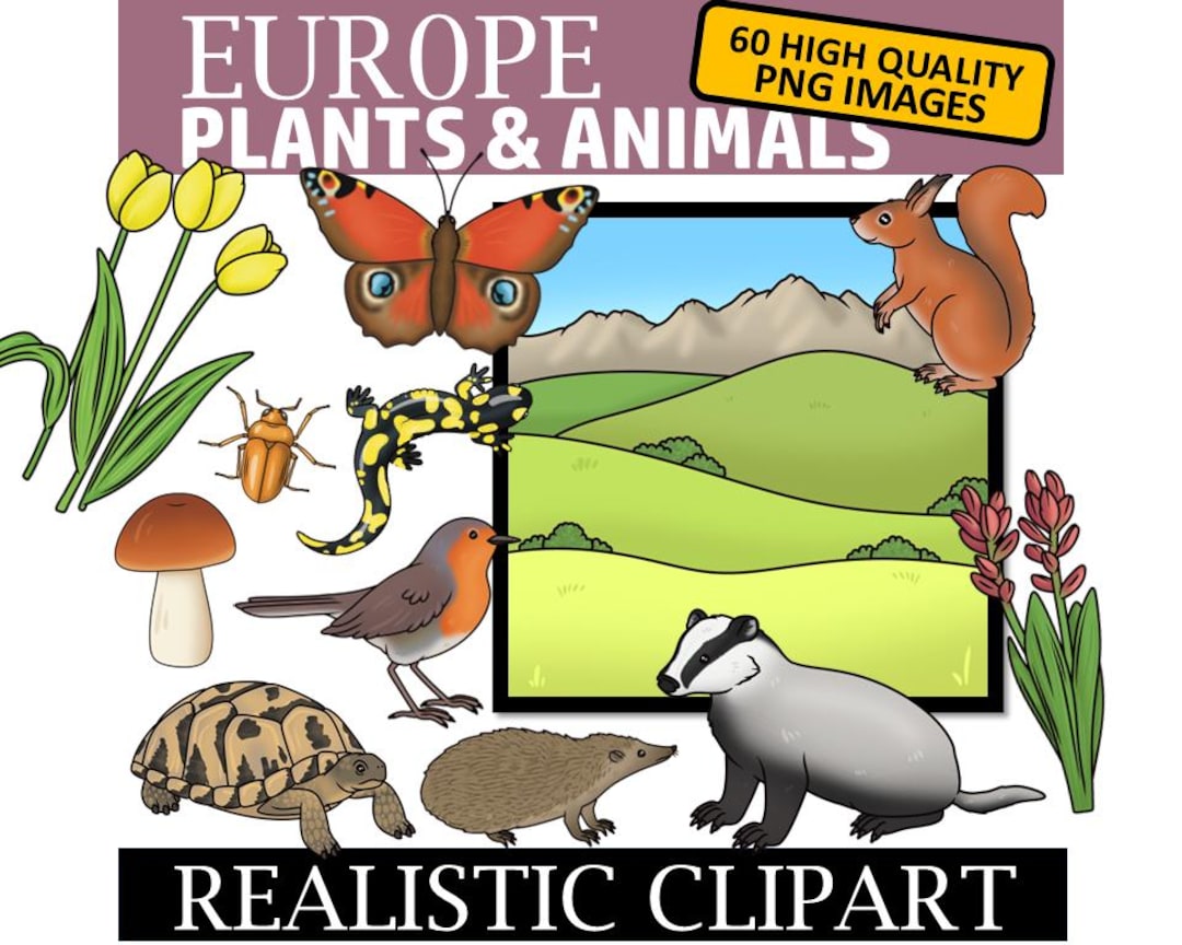 Plants and Animals of Europe Clip Art (european Nature Clipart) - Etsy