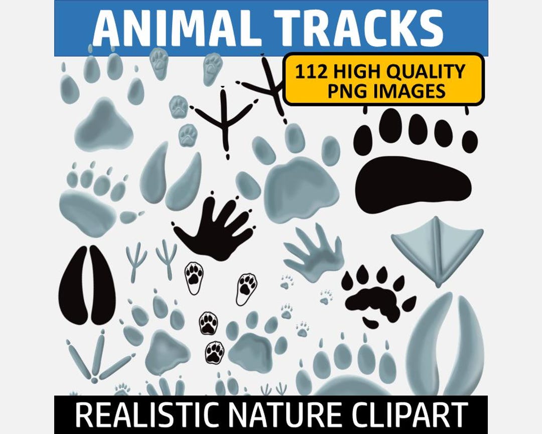 Animal Tracks Clip Art (paw Prints and Snow Prints) - Etsy