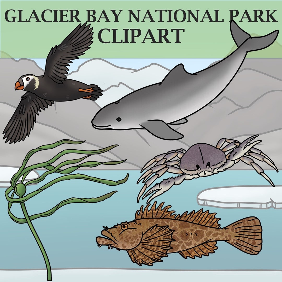 Plants and Animals of Glacier Bay National Park Clipart - Etsy