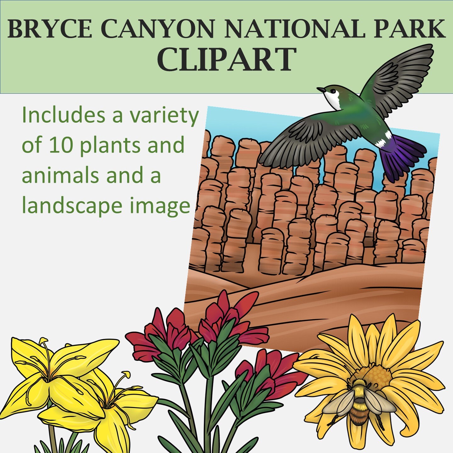 Plants and Animals of Bryce Canyon National Park Clipart Set - Etsy