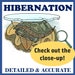 Hibernating Animals Clip Art - Etsy