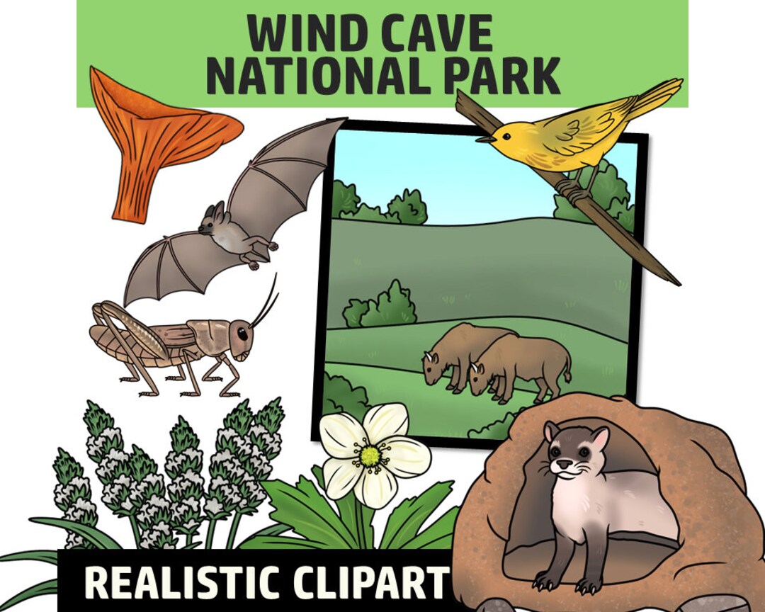 Wind Cave National Park Clipart: South Dakota Plants & Animals - Etsy