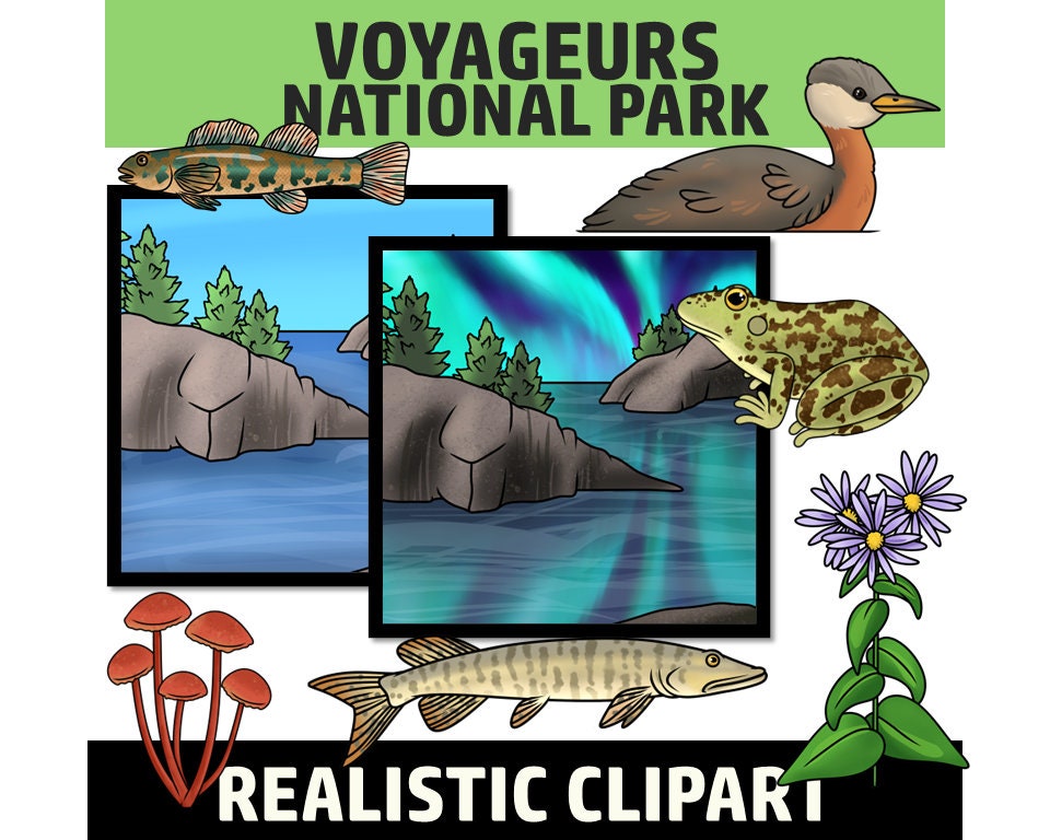 Voyageurs National Park Clipart: Minnesota Plants & Animals - Etsy