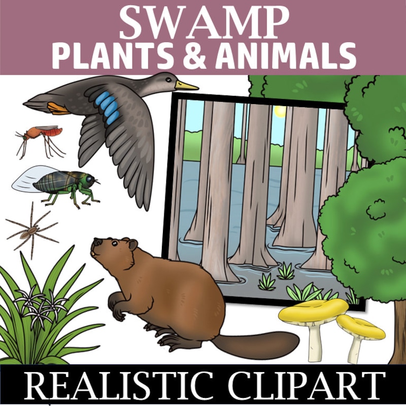 Swamp Art - Etsy