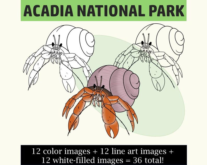 Acadia National Park Clip Art - National Park Clipart - Etsy
