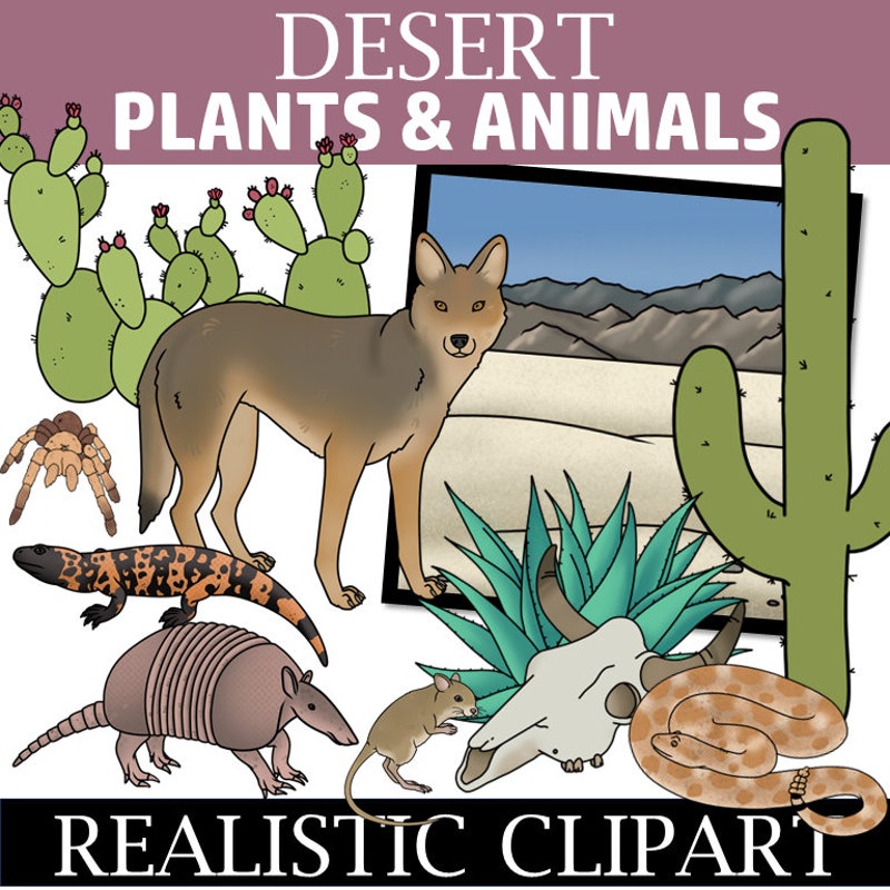 Desert Animals Clip Art - Etsy