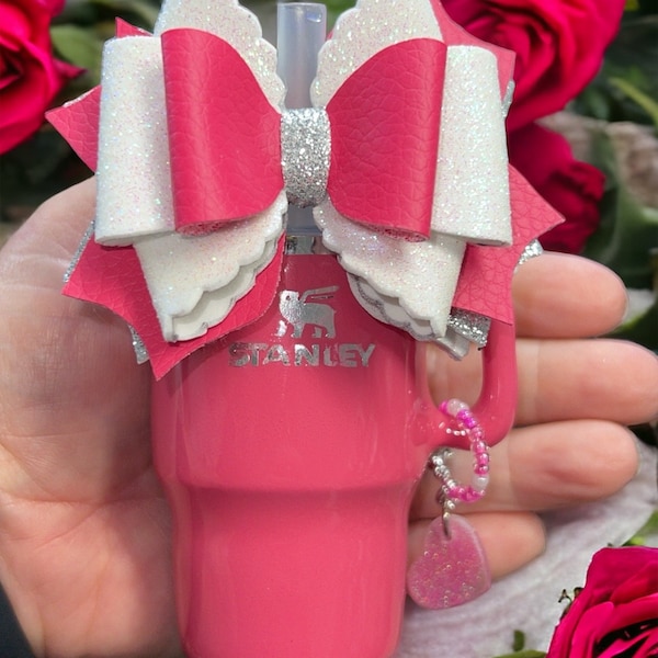 Mini Stanley Tumbler - Etsy