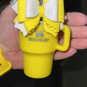 3oz Mini Stanley Dupe - Etsy