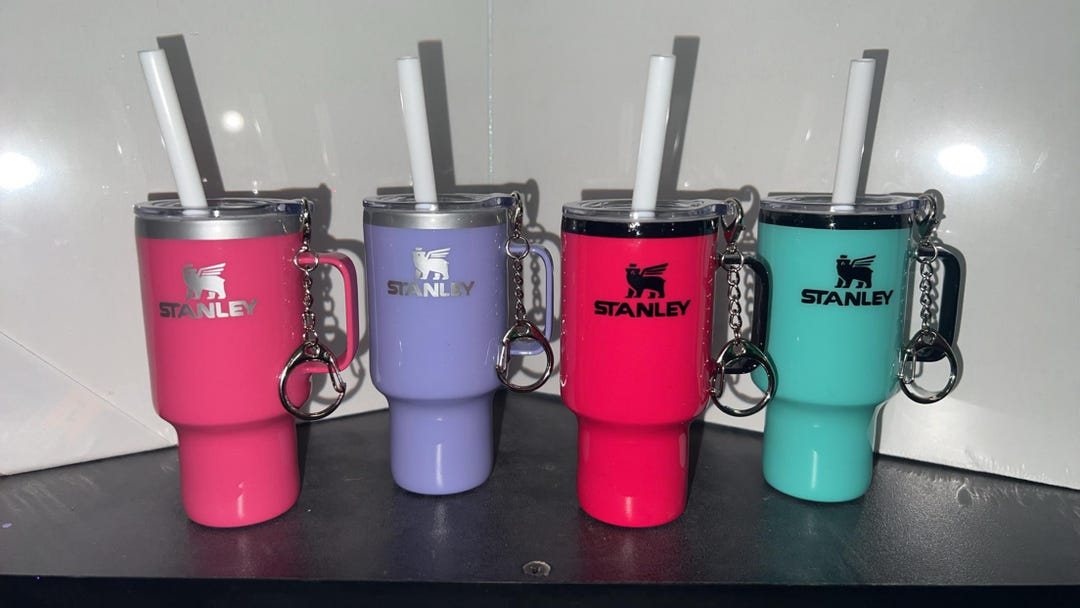 Mini 4oz Stanley DUPES - Etsy