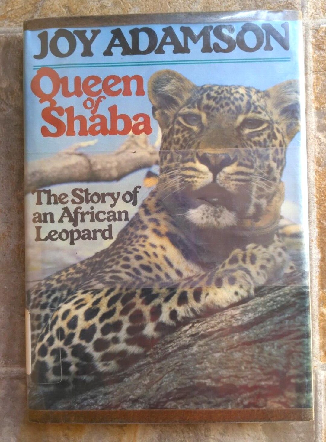 Vintage Queen of Shaba - the Story of an African Leopard by Joy Adamson ...