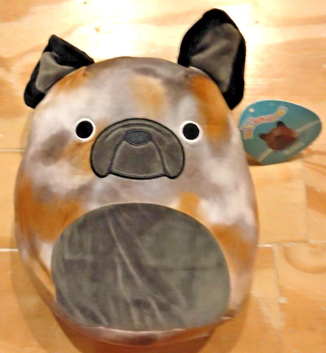 Squishmallows 8" Ballis the French Bulldog Plush Stuffed Animal NWT ...