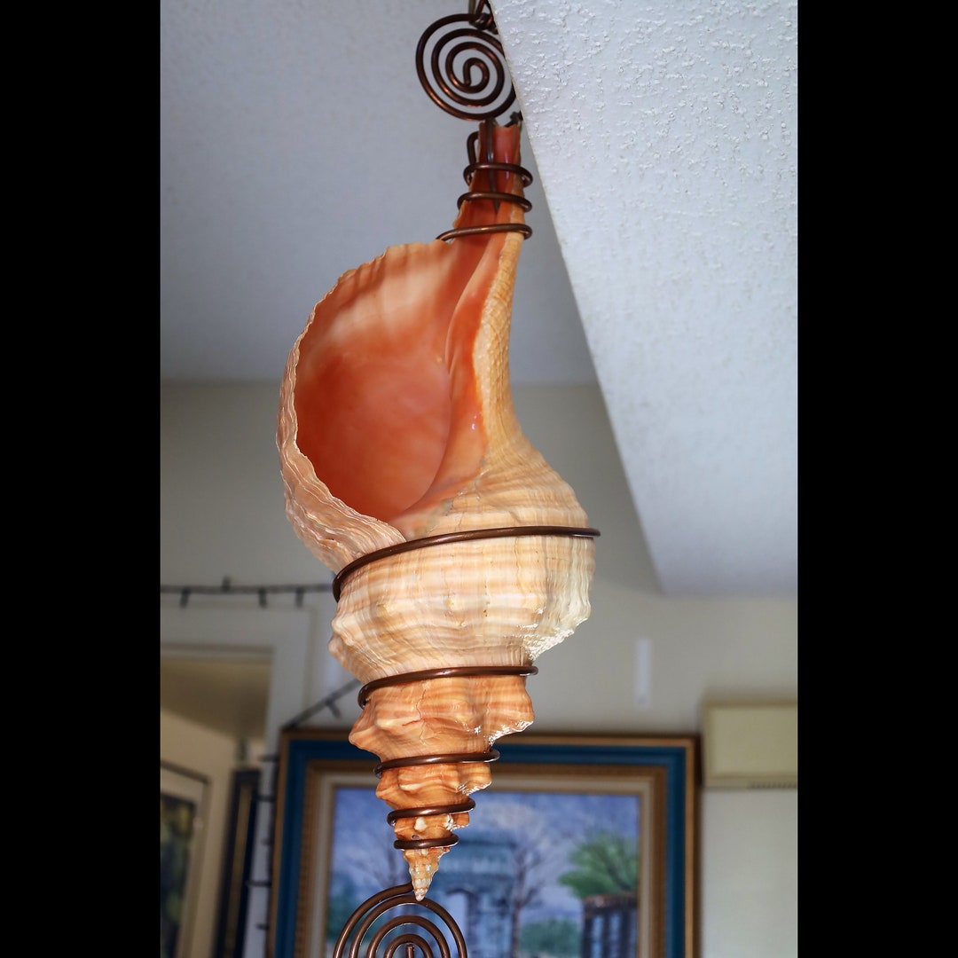 Florida Horse Conch Seashell Pendant Light Hanging Ceiling Light ...