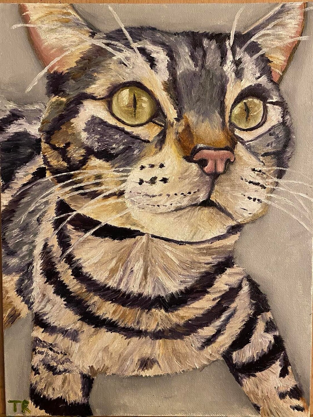Handsome Tabby, Art Print - Etsy