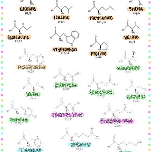 MCAT Biochemistry Bundle: Light Colors - Etsy