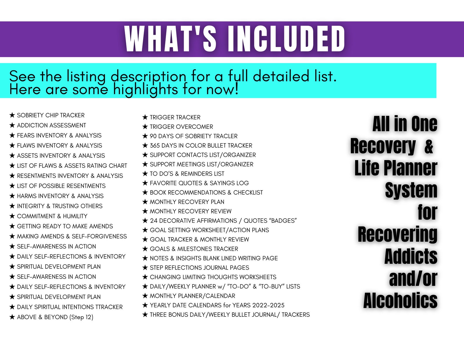 Sobriety Journal 12 Step Workbook Recovery Planner Addiction Healing