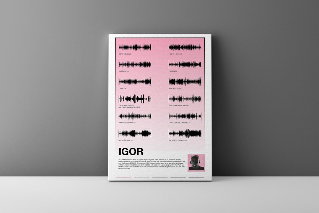 Tyler the Creator IGOR Album Soundwave Art Music - Etsy