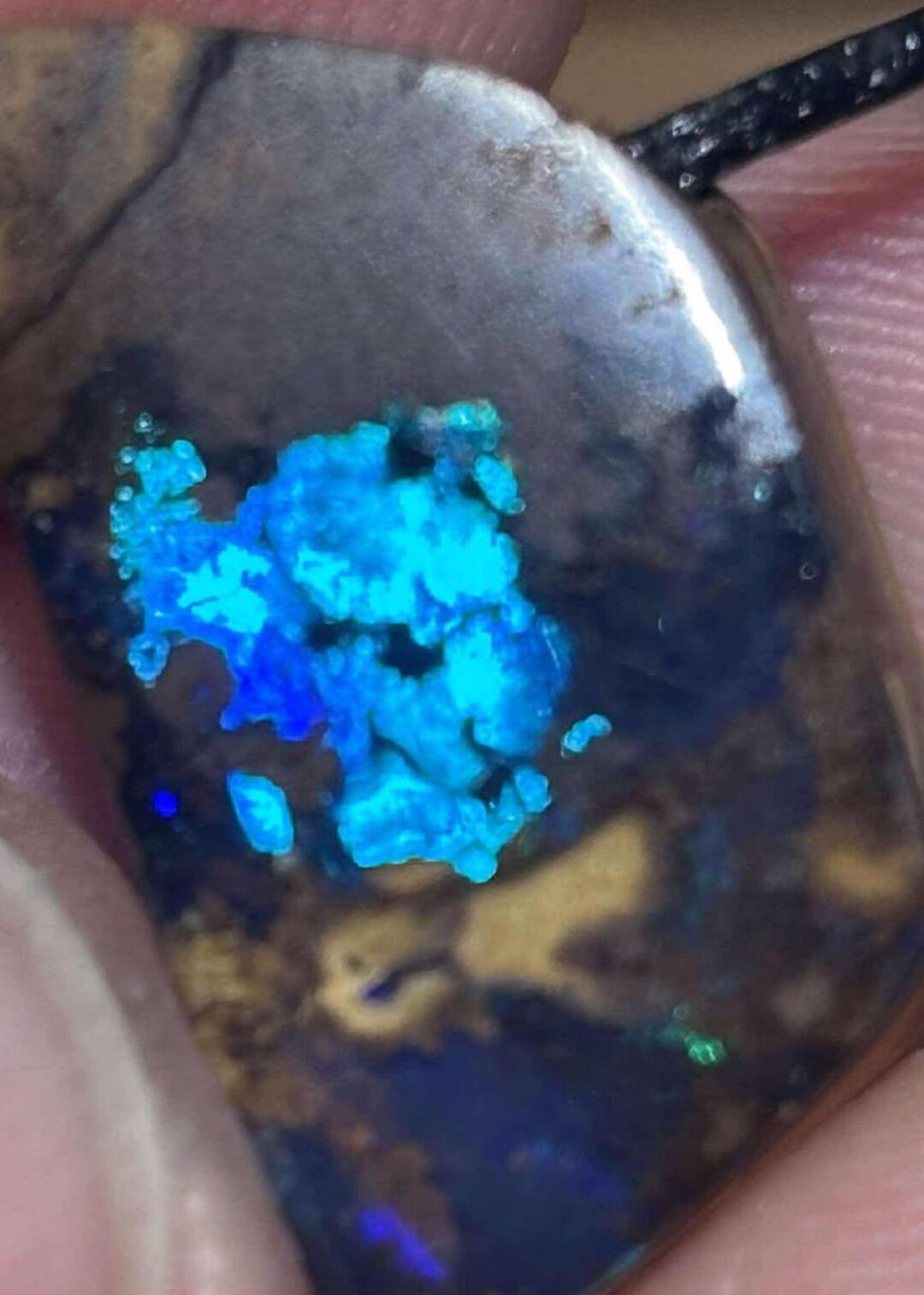 Insane Colorful Boulder Opal Pendant From Queensland Australia Freeform ...