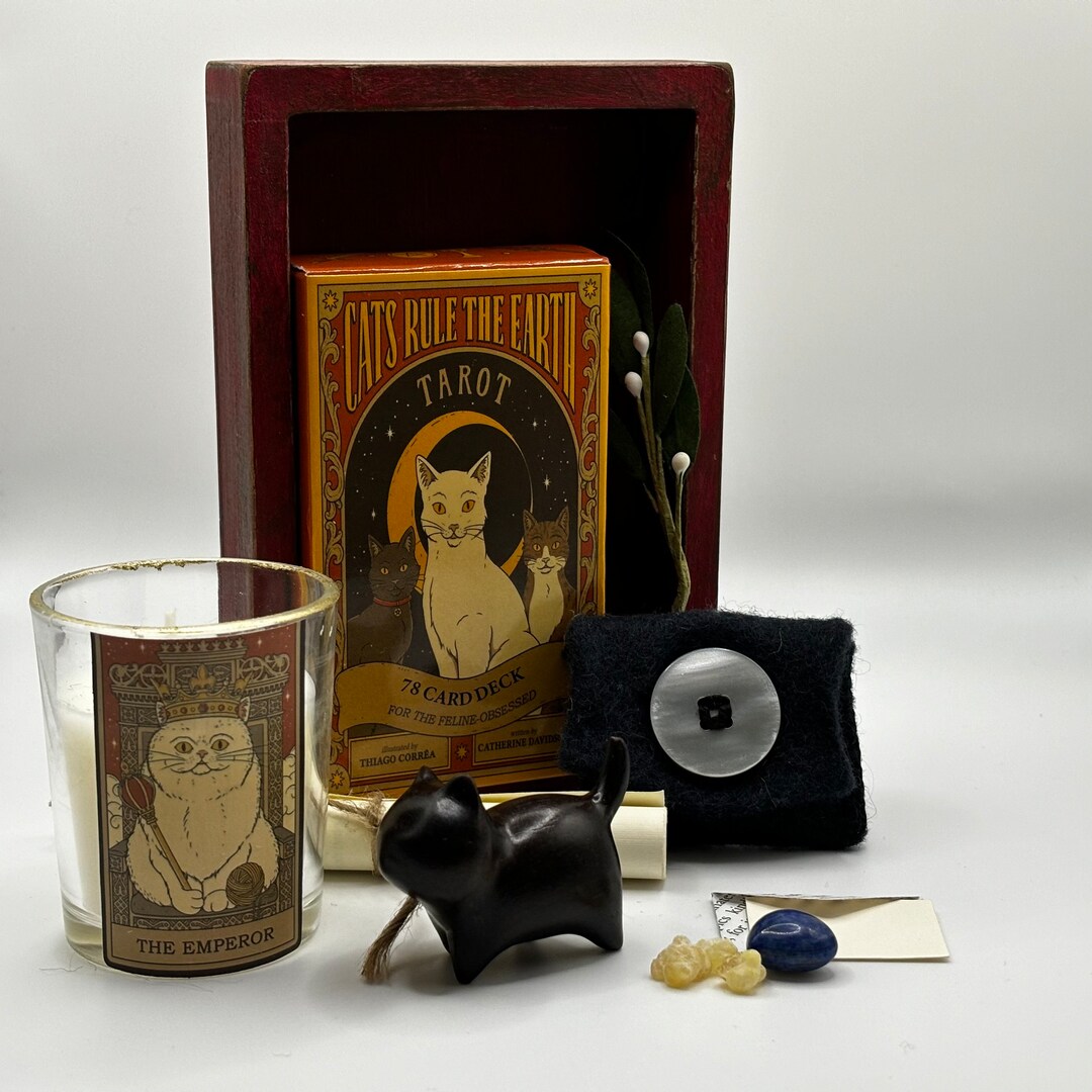 Cats Rule the Earth/ Unique Tarot Deck Gift Box/cat Lovers - Etsy