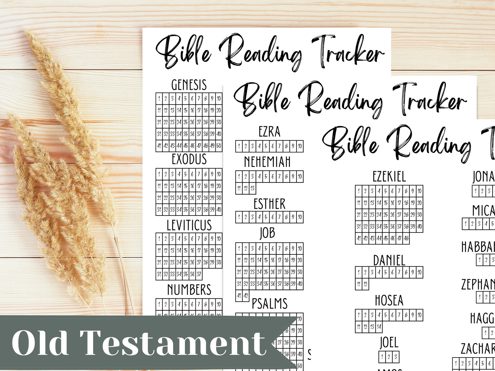 Bible Reading Tracker, Bible Reading Log, Bible Reading Plan, Digital ...